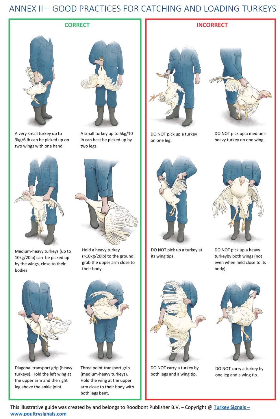 Guía de Buenas Prácticas de Manejo de Granjas de Pavos - NeXus Avicultura